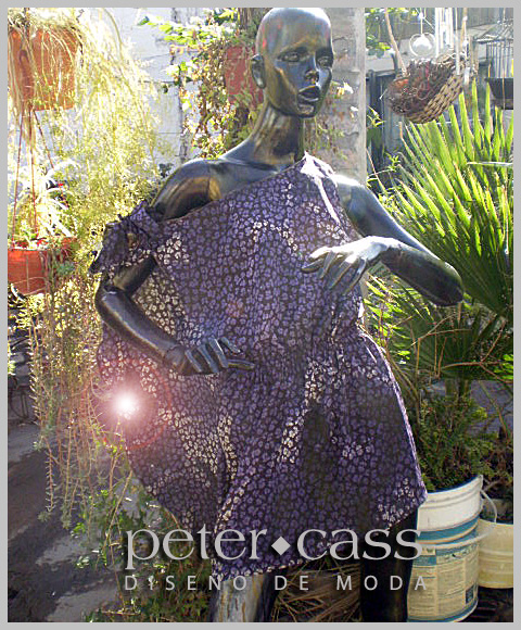 Peter Cass