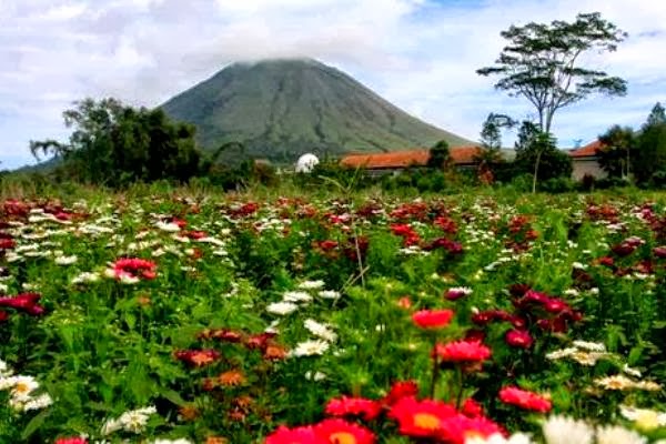 Tomohon, the City of Flower ~ Malay Travel and Tour