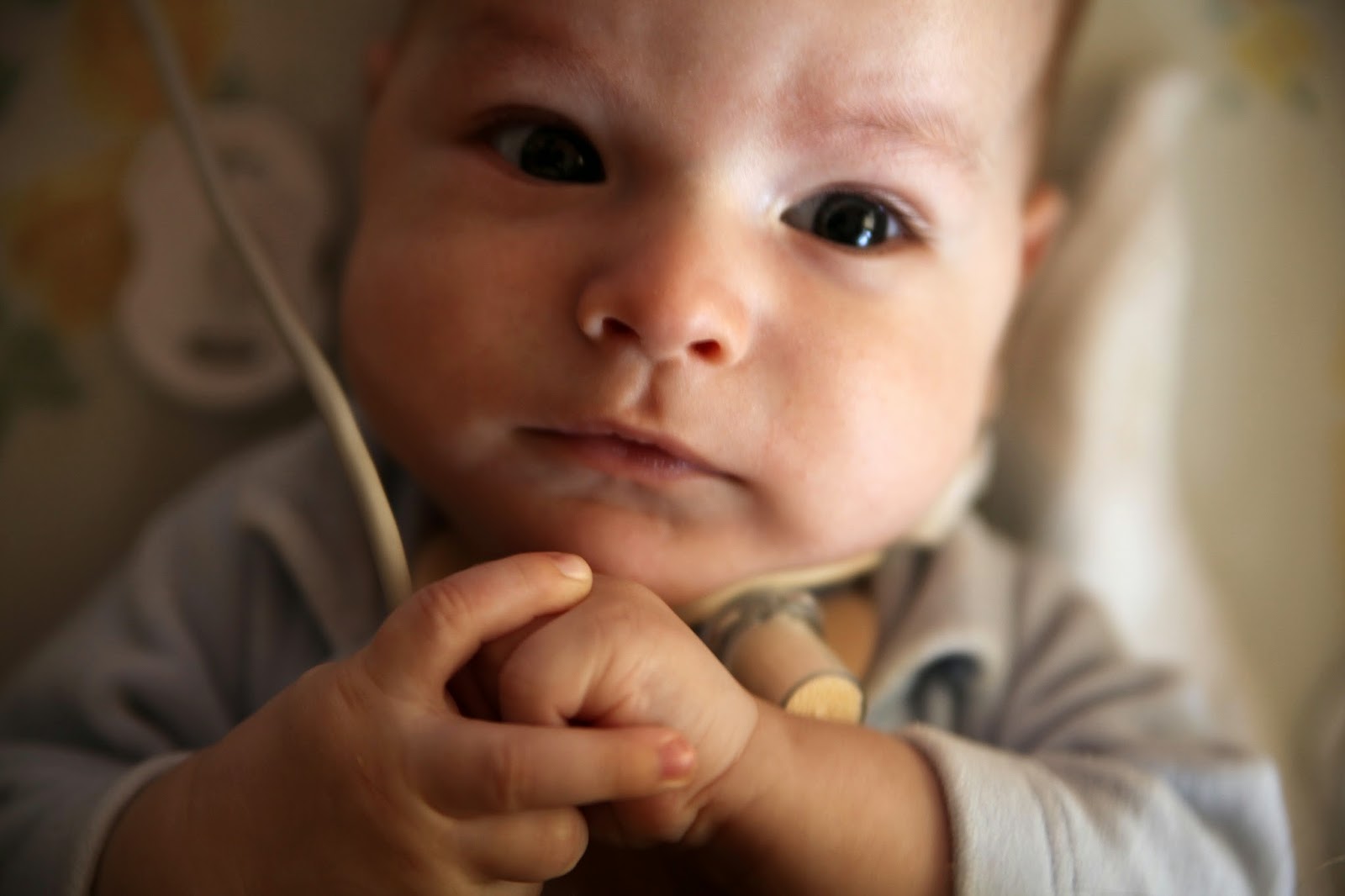 Melissa Shang's Instagram, Twitter & Facebook on IDCrawl