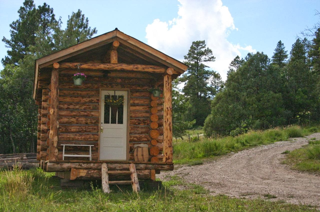 Coolest Cabins: Tiny House Log Cabin