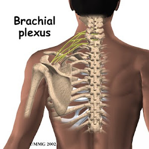 My journey Acute Brachial Plexus Neuritis