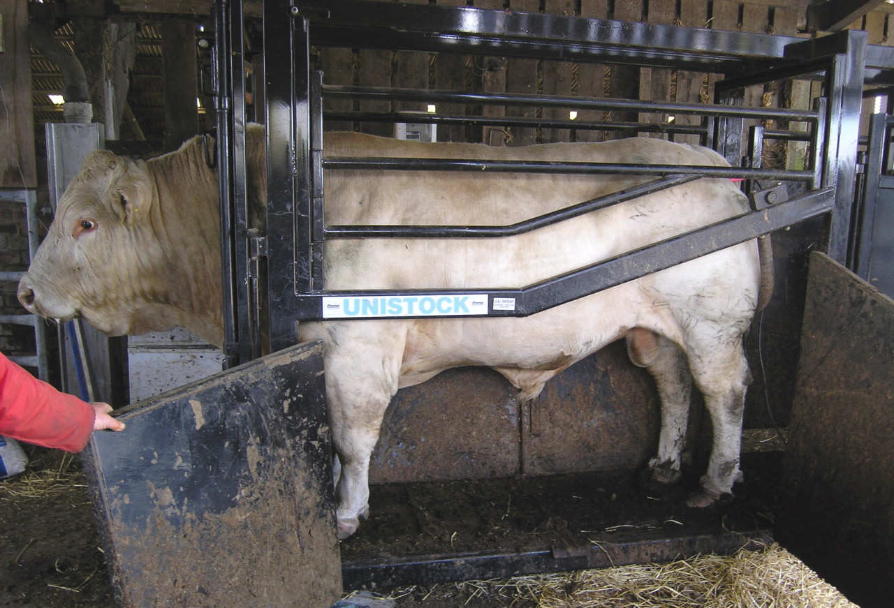 LAB: Large Animal Breeding