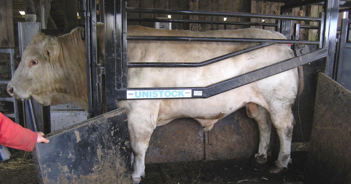 LAB: Large Animal Breeding