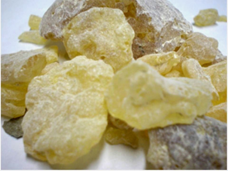 PLANTAS MÁGICAS: AROMATERAPIA MAGICA: EL COPAL