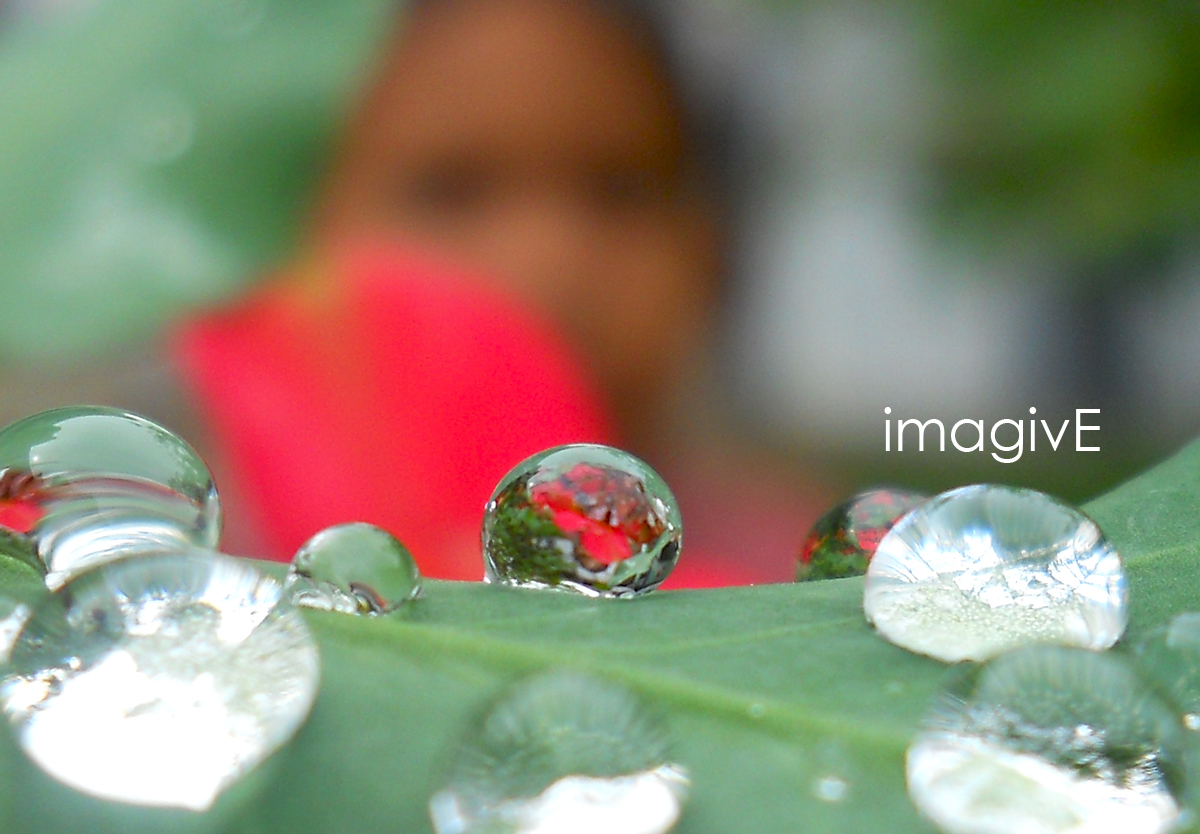 Bulir Air Sehabis Hujan