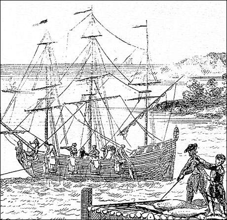 William & Mary Dyer: Watery Villagers: sea creatures of colonial New ...