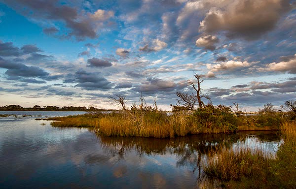 About Photography: Nikon 20mm f/1.8G lens -- a hands-on review