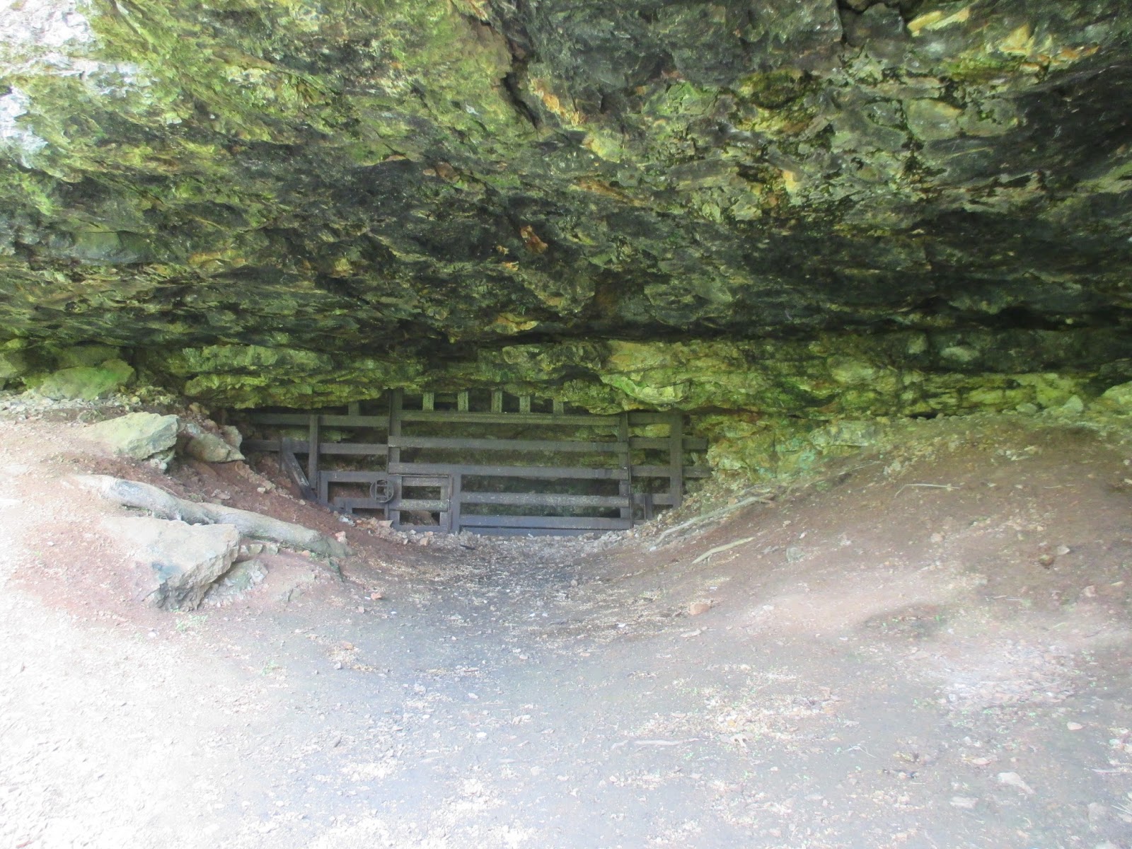Backyard Excursions: Shoal Creek Cave and the Wildcat Glade Nature Center