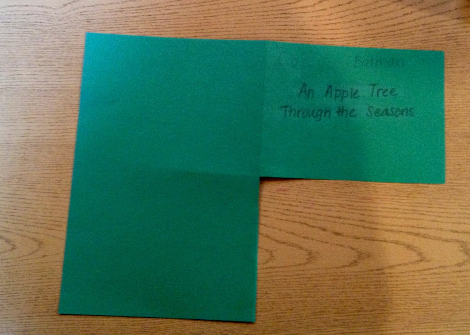 Evergreen Montessori House: Apple Tree Through the Seasons Book