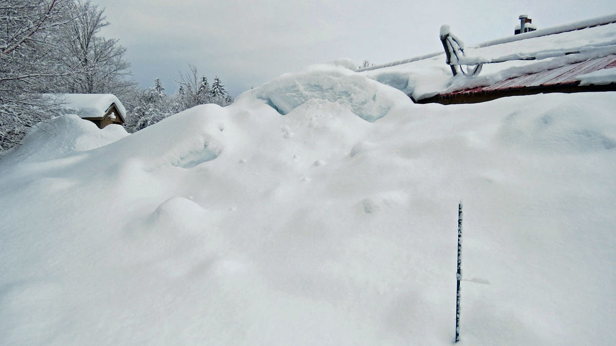 The Agatelady: Adventures and Events: Most Beautiful Snow Storm of the ...