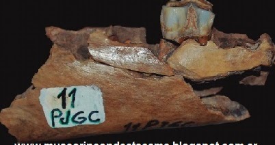 Museo Municipal Rincon de Atacama. Termas de Rio Hondo. (Sitio Oficial ...