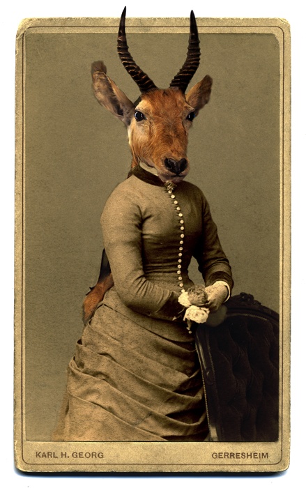 loveisspeed.......: Depict animals in human form has always loved, but ...