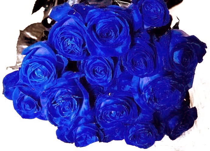 Inspirasi 20+ Bunga Mawar Biru