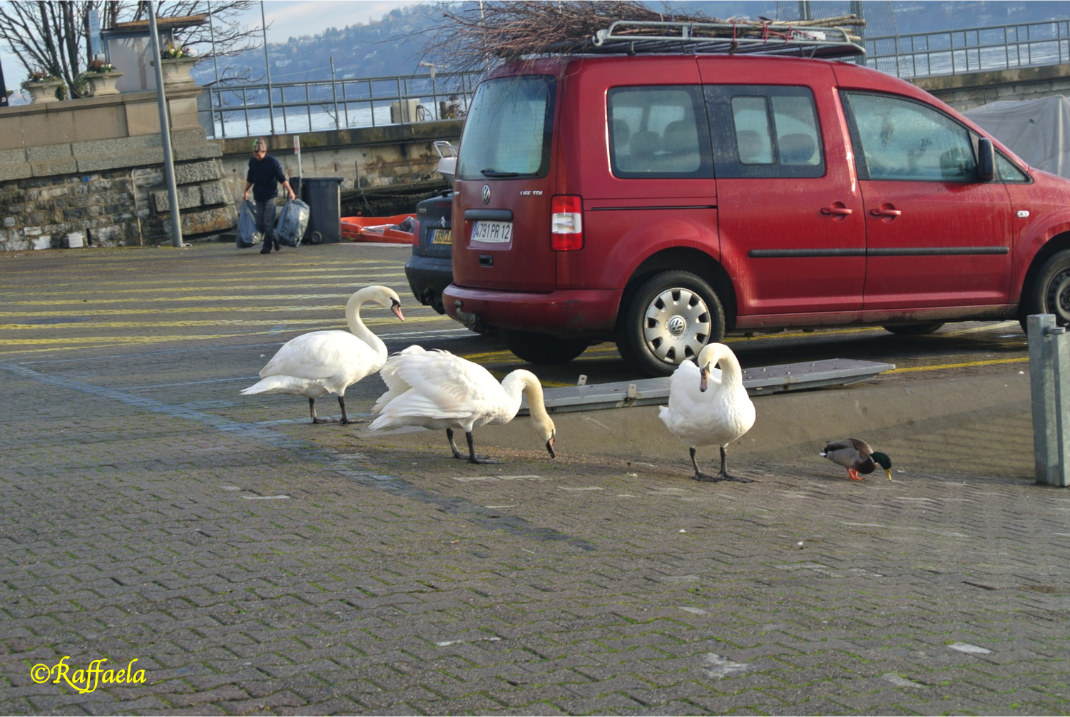 Fotografia è Vita: 2015
