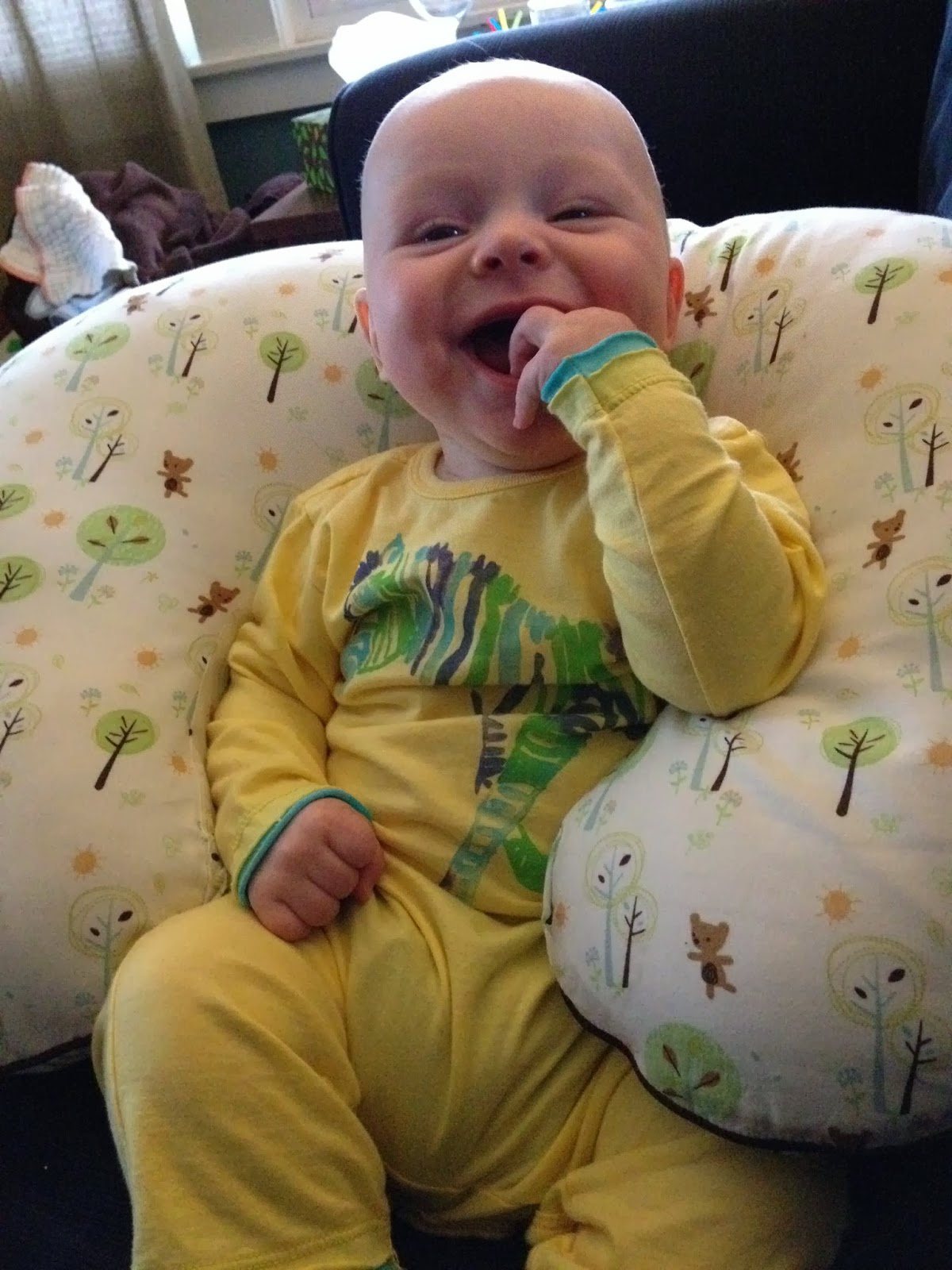 The Life of Poole: Life With Finn