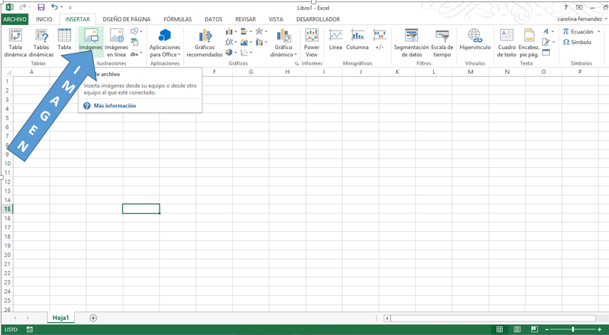 EXCEL BASICO: ICONOS DE IMAGENES