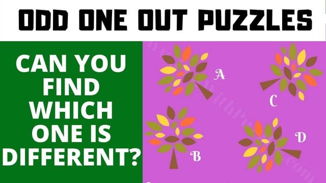 Odd One Out Puzzles with Answers