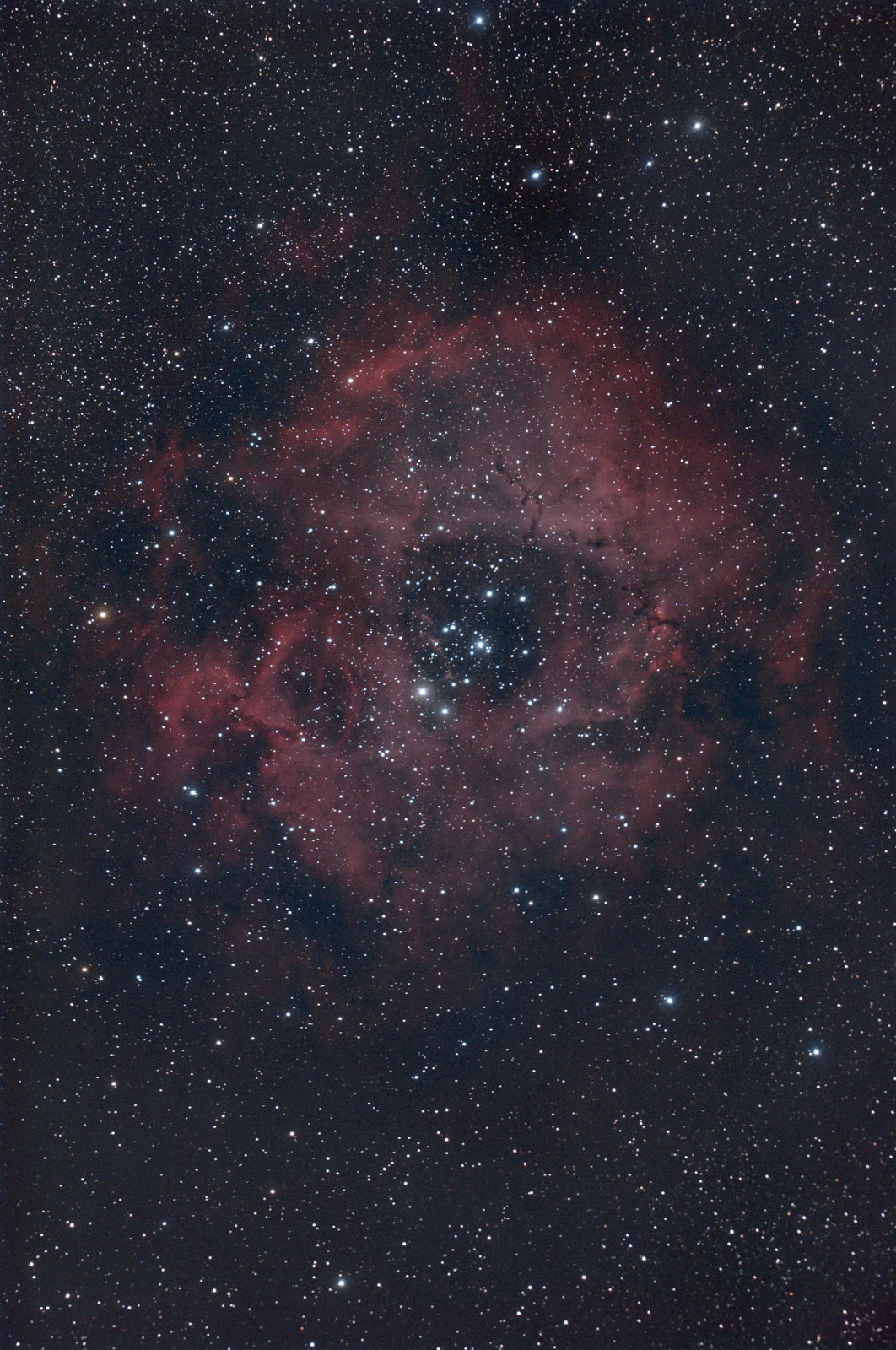 Sky and Rockets: Imaging the Rosette Nebula - Part 1