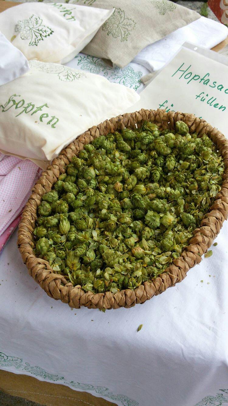 TEOR(ia) de cerveja: 11. Hallertauer Hopfakranzfest - 11. Festa de ...