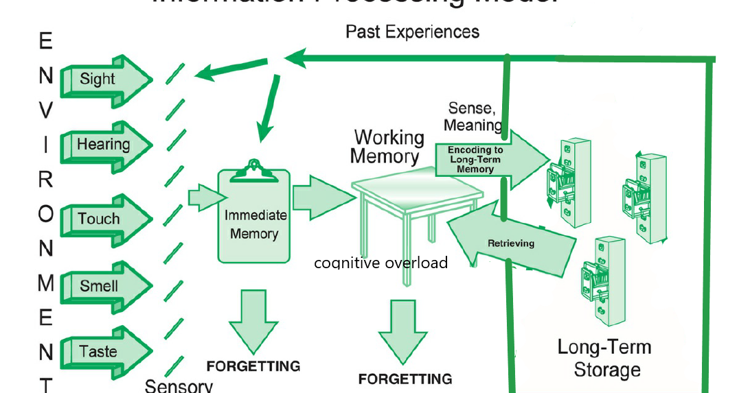 How the Brain Processes Information: The Information Processing Model