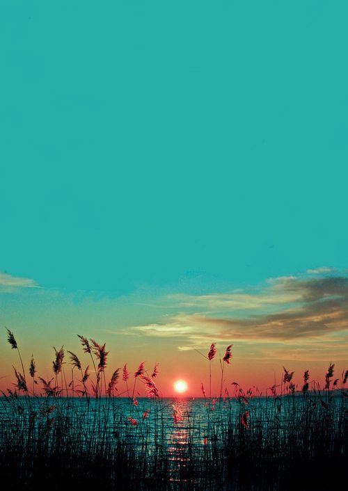Peaceful and beautiful teal blue :) | Nature, Nature photography ...