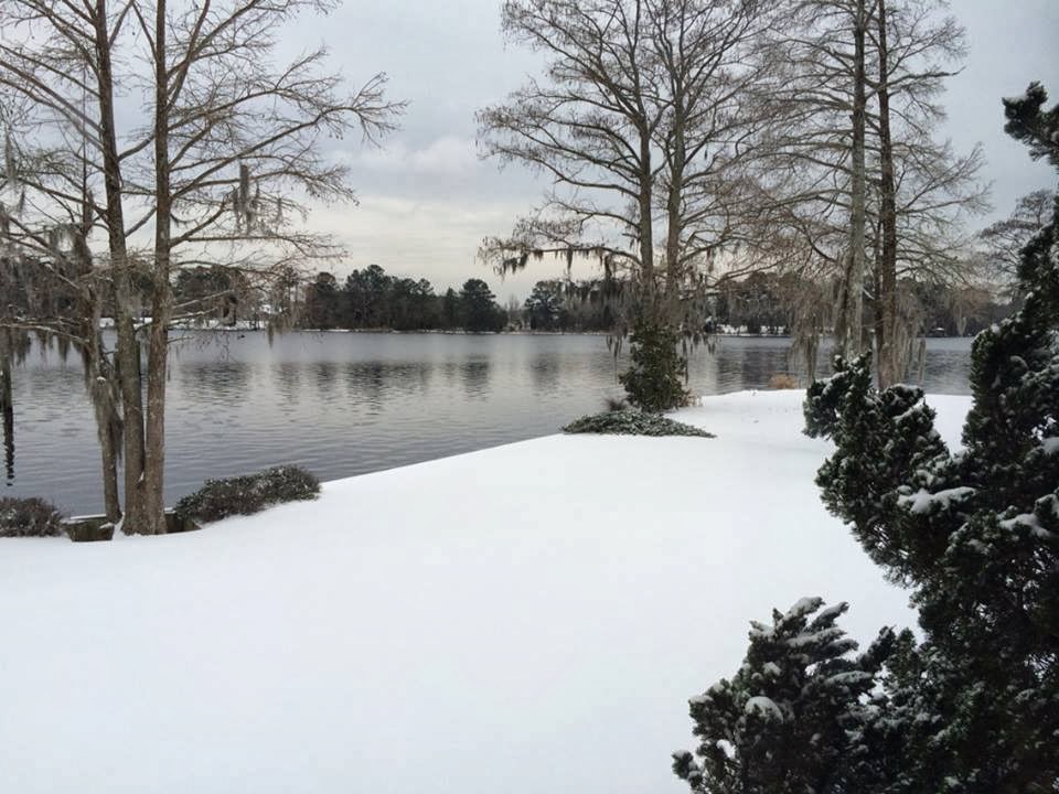 Delightfully Dunn: Southern Snow Days Are the Prettiest Snow Days