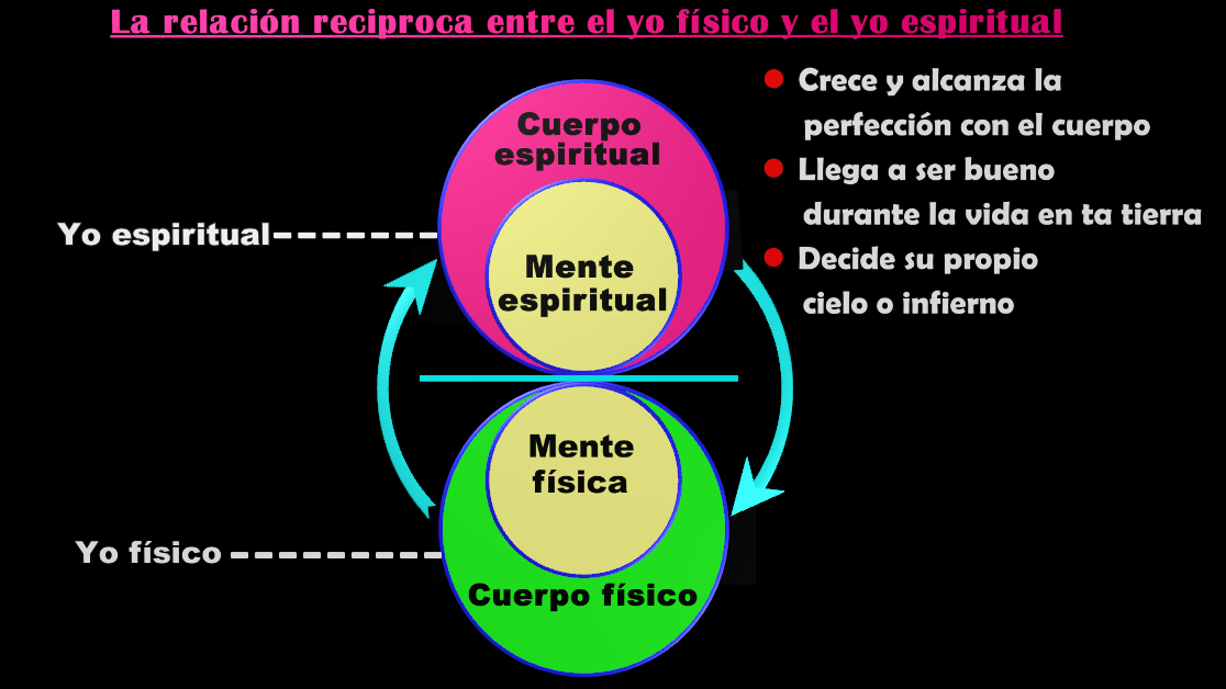El Principio Divino: CAPITULO 1 Los Principios de la Creación