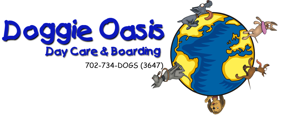 Pets N More: List of Pet Daycare and Boarding in Las Vegas