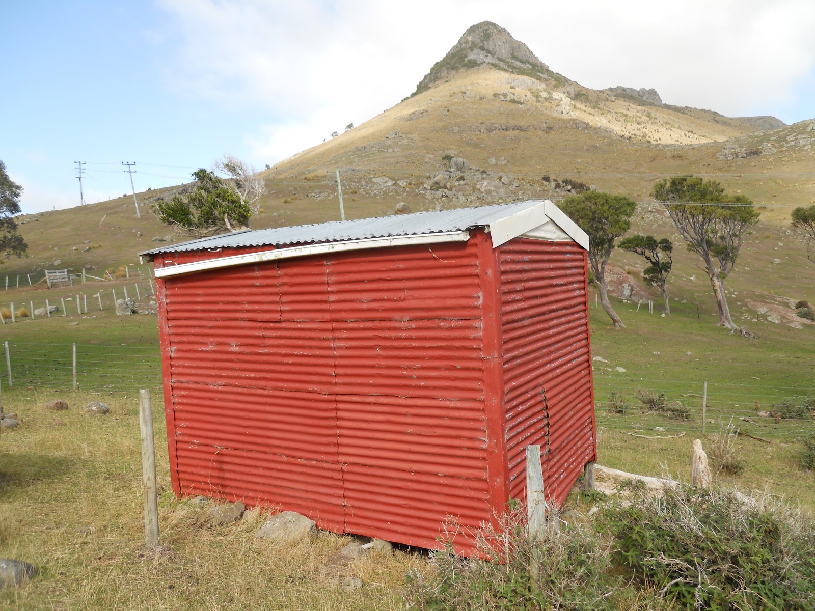 Tramping in the New Zealand backcountry: NZ Bush Adventures: Purau ...