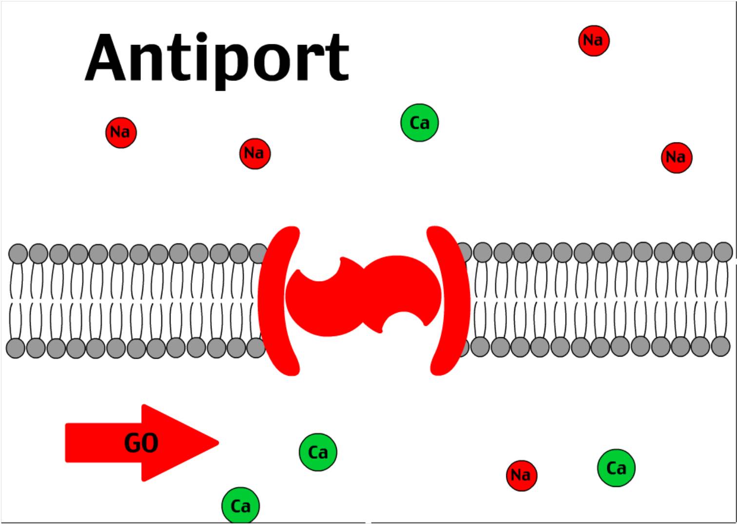 antiport.swf / kanal berlawanan.swf