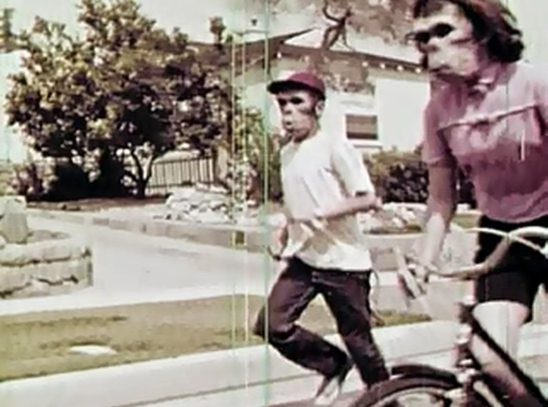 The Retrogrouch: Bicycle Safety 101: One Got Fat