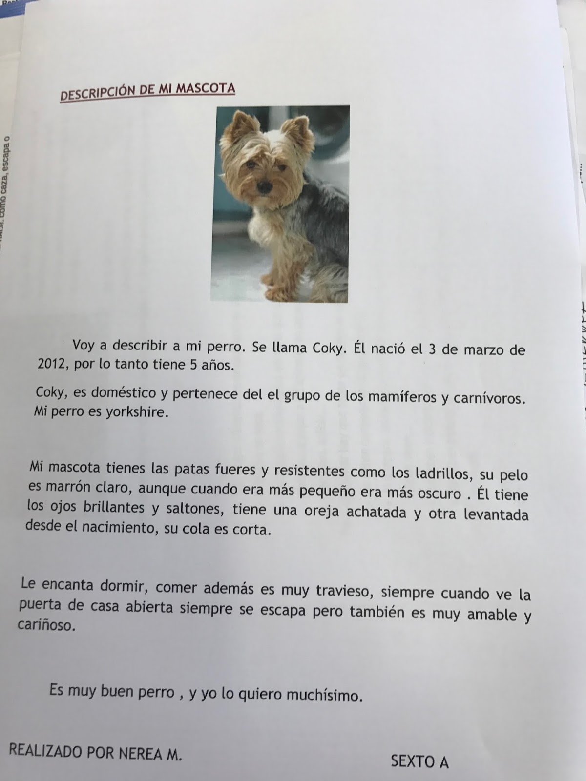 LA VENTANA DE MI CLASE DE TERCERO: DESCRIPCIÓN DE MI MASCOTA