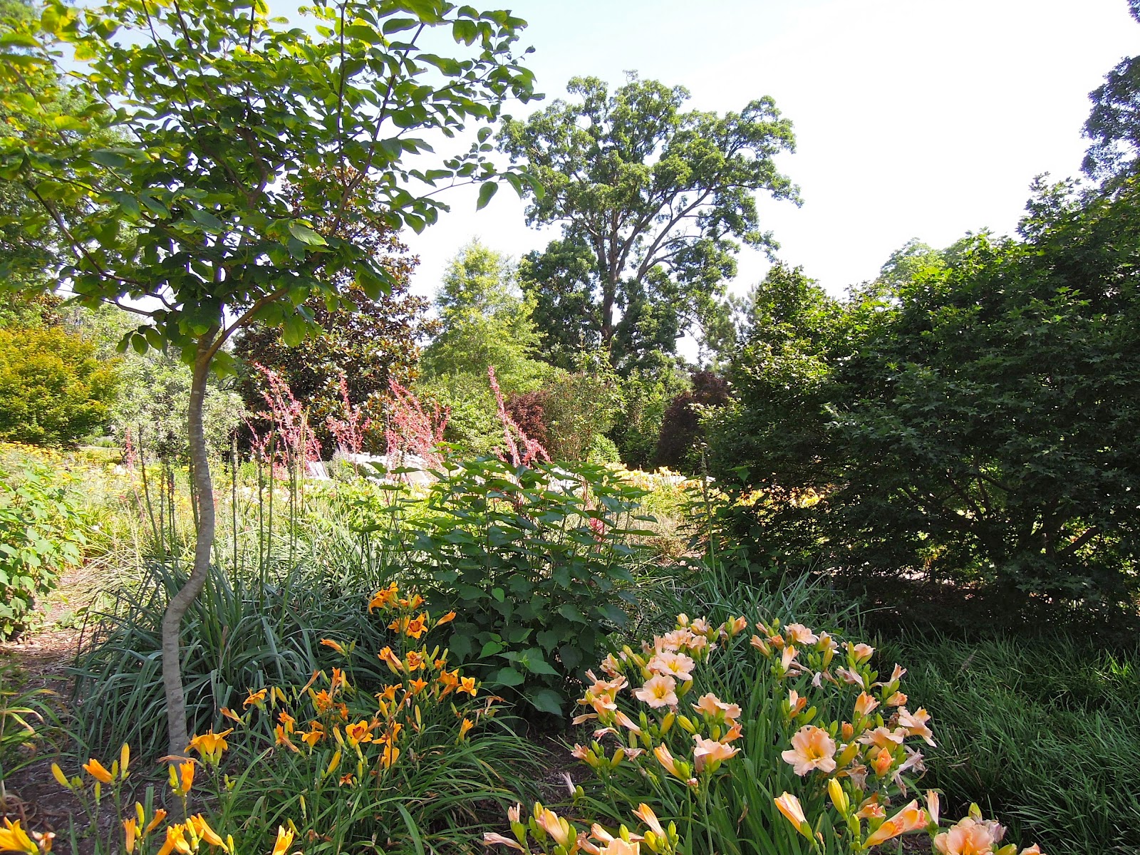 Raleigh Wedding Blog: A Lovely Wedding for Rosemary and Stephen in the ...