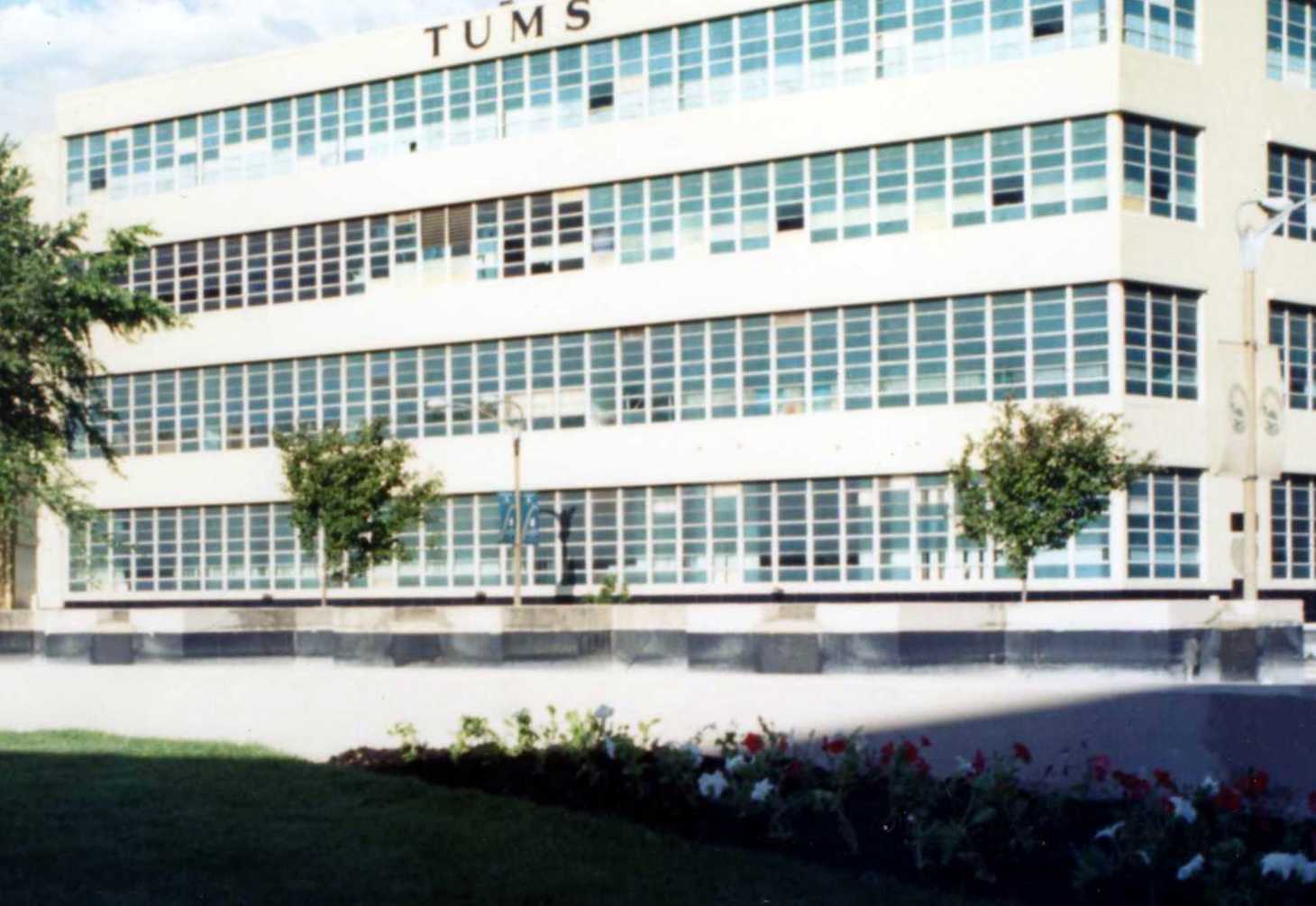 Social Shutter: Tums in the City