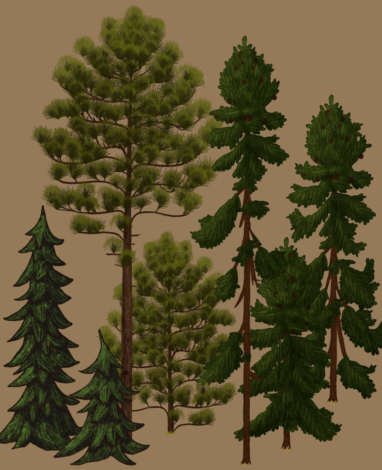Andrea Gerstmann Art: Trees - coniferous