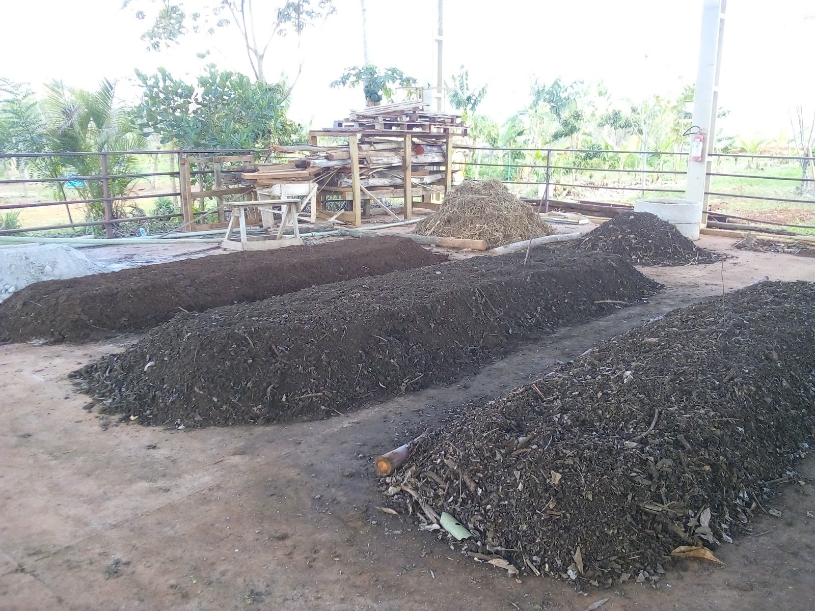 COMPOSTAGEM E MICRORGANISMOS EFICIENTES NO CURSO TECNOLOGIA EM ...