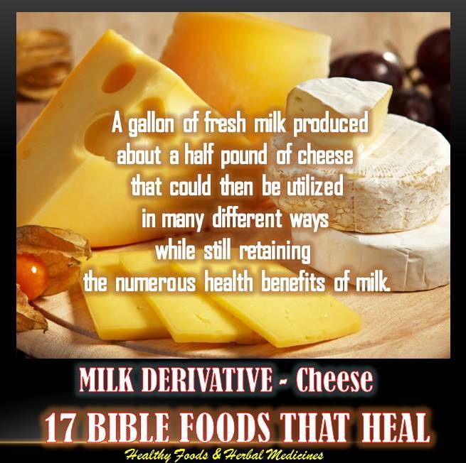 17 BIBLE FOODS THAT HEAL