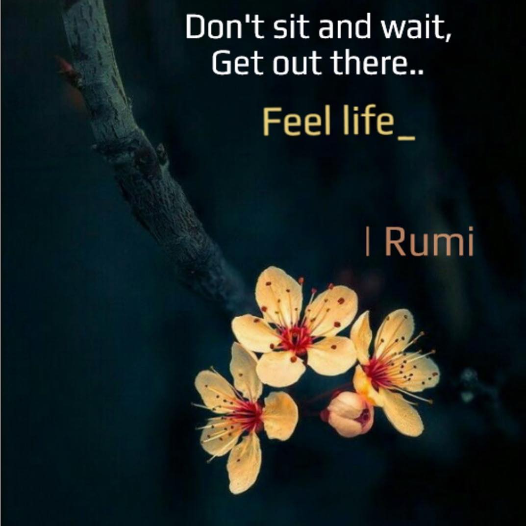 35 Rumi Quotes That Will Change Your Life - PART 3