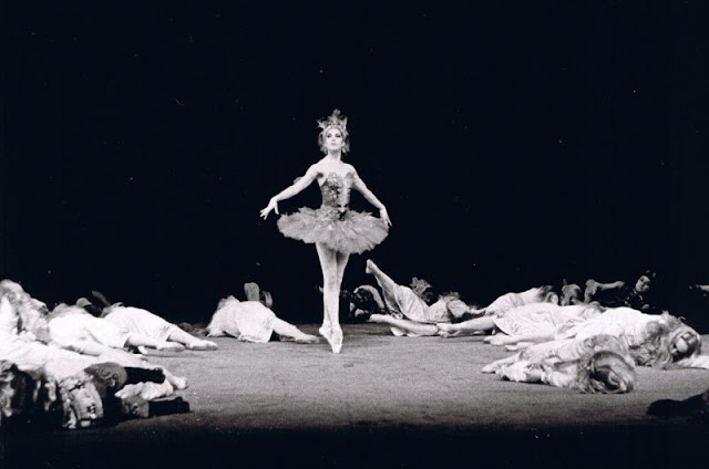 Dutch National Ballet: 47 Pictures That Capture Performing Dancers in ...