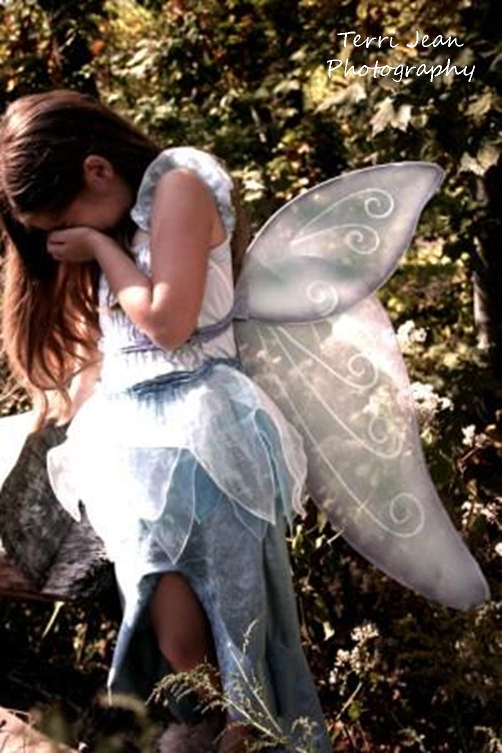 The Illustrated Life of Terri Jean: The Faerie Children Series