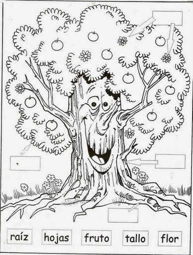 APRENDEMOS CON TODOS Y DE TODOS : LAS PLANTAS Y LOS ALIMENTOS