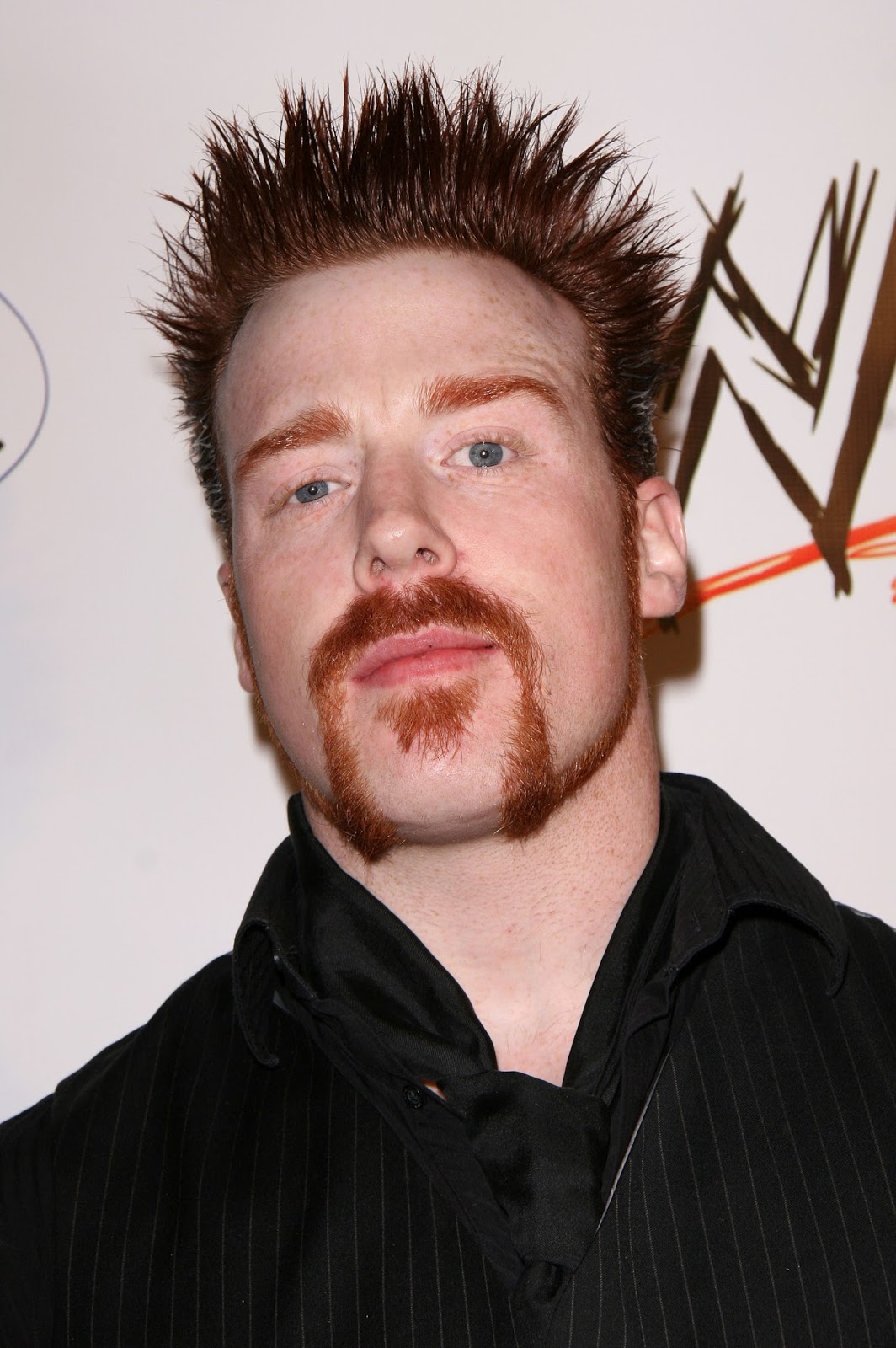 Sheamus Fans