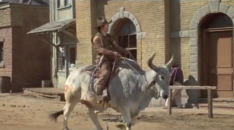 Interesting Discoveries | TFW2005 - The 2005 Boards