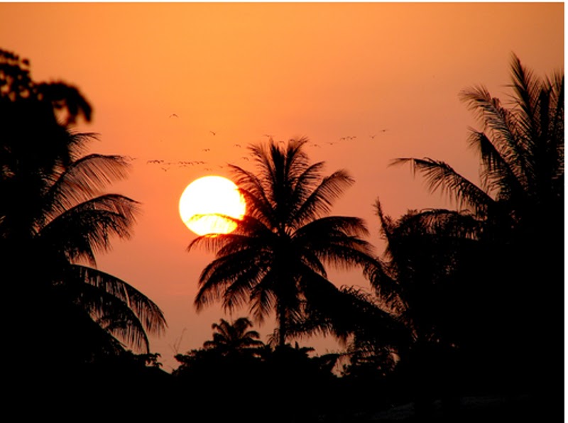 tropicalia: "pôr do Sol, Angola"