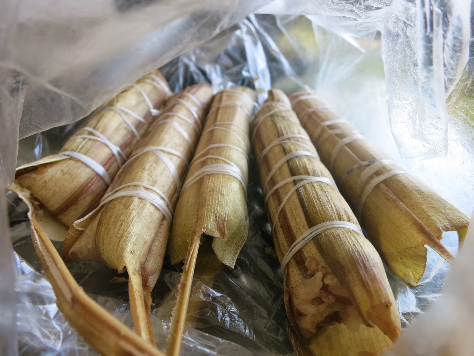 Splash of Yellow: What to see in Baler