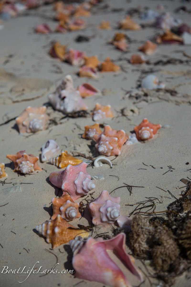 Dollar Harbour, South Cat Cay, Bimini Islands - Boat Life Larks - SV ...