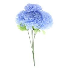 Claveles El Dorado S.A