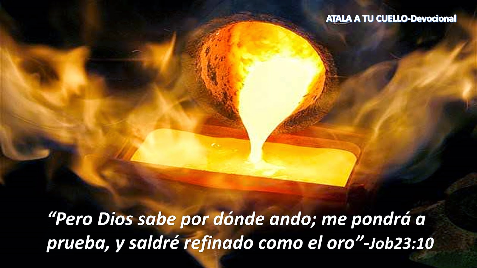 ATALA A TU CUELLO Devocional: Job 23