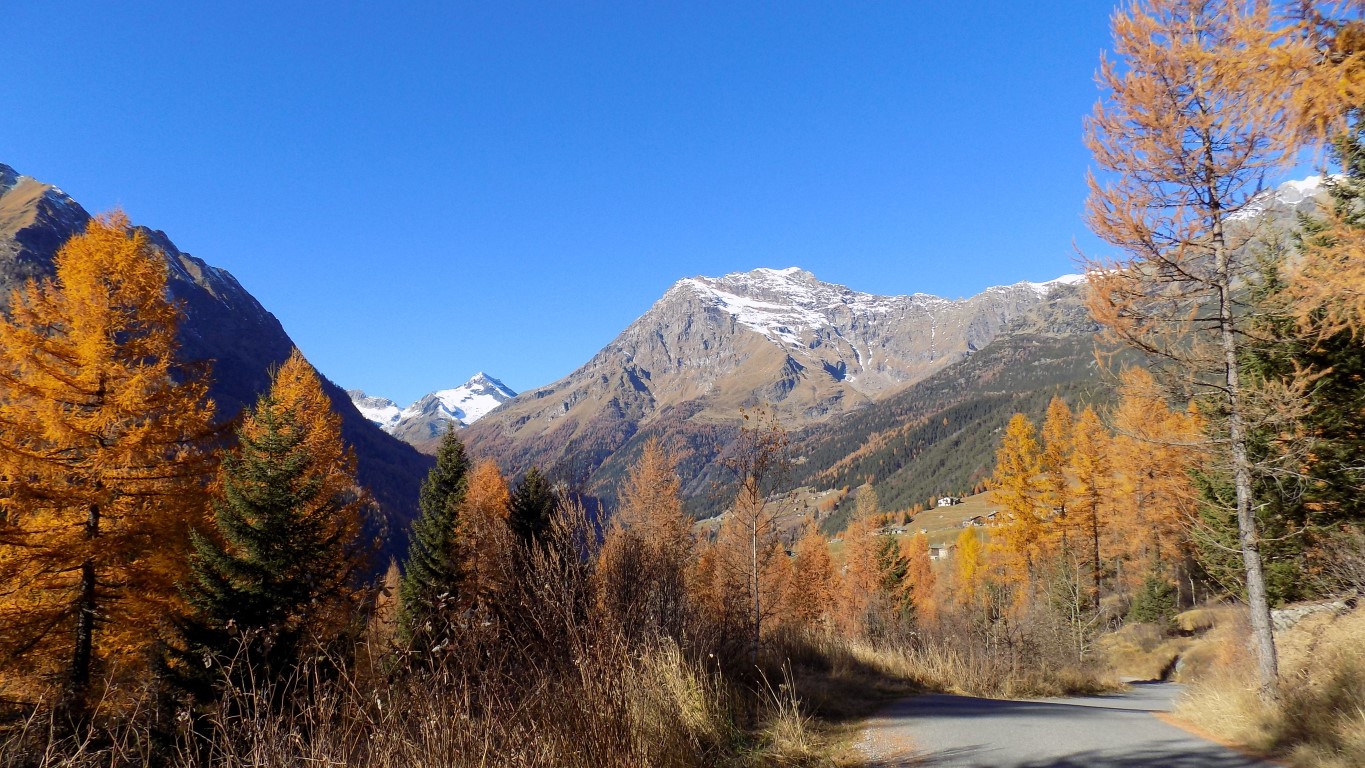 4 Scarponi blog: Lago Palù
