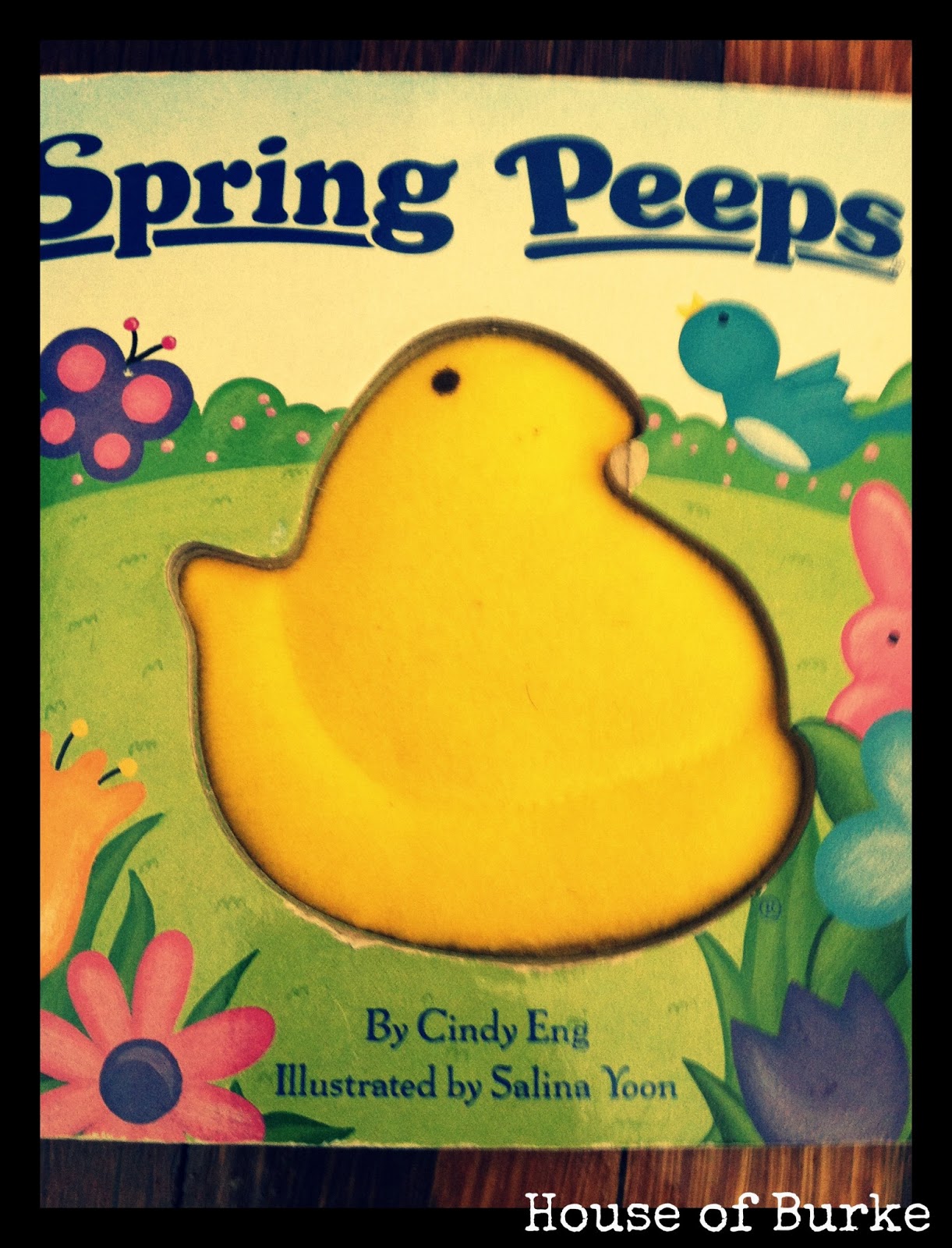 House of Burke: Contact Paper Chick